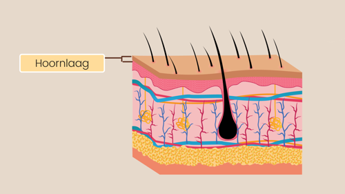 Huidbehandeling met chemische peeling